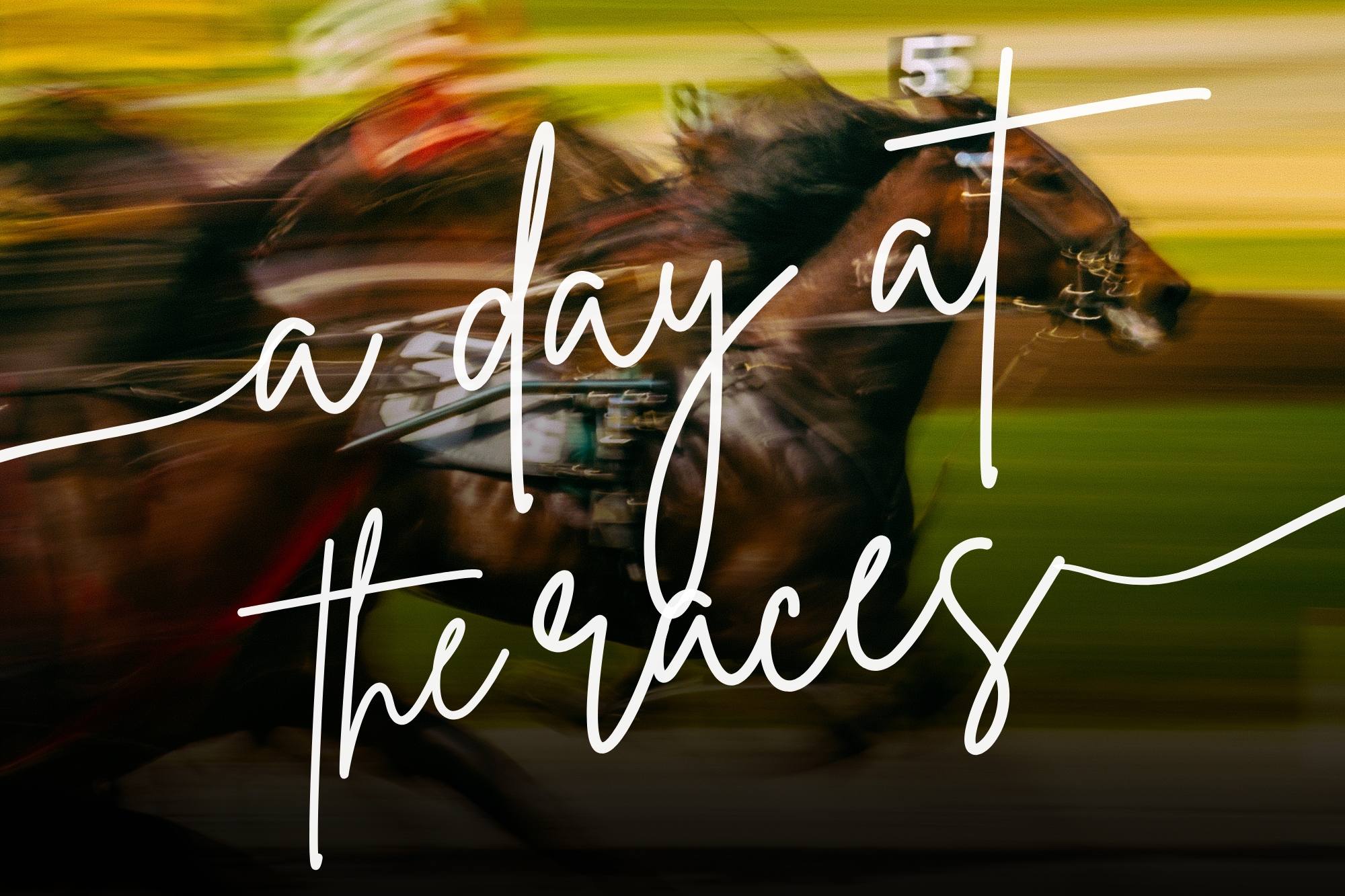 A Day at the Races